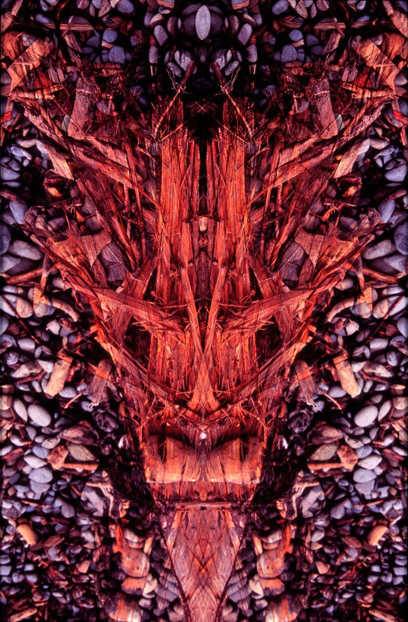 Cedar – David Vala